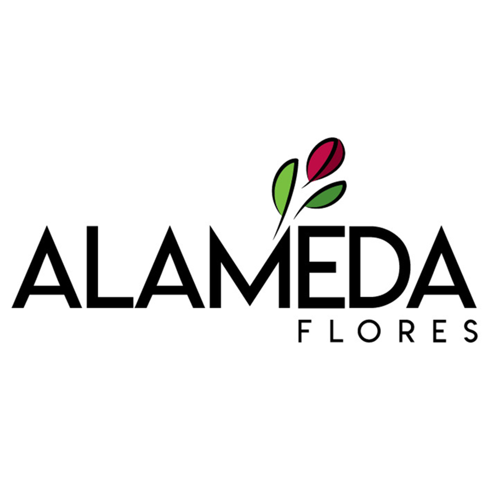 ALAMEDA FLORES - 28º Veiling Market