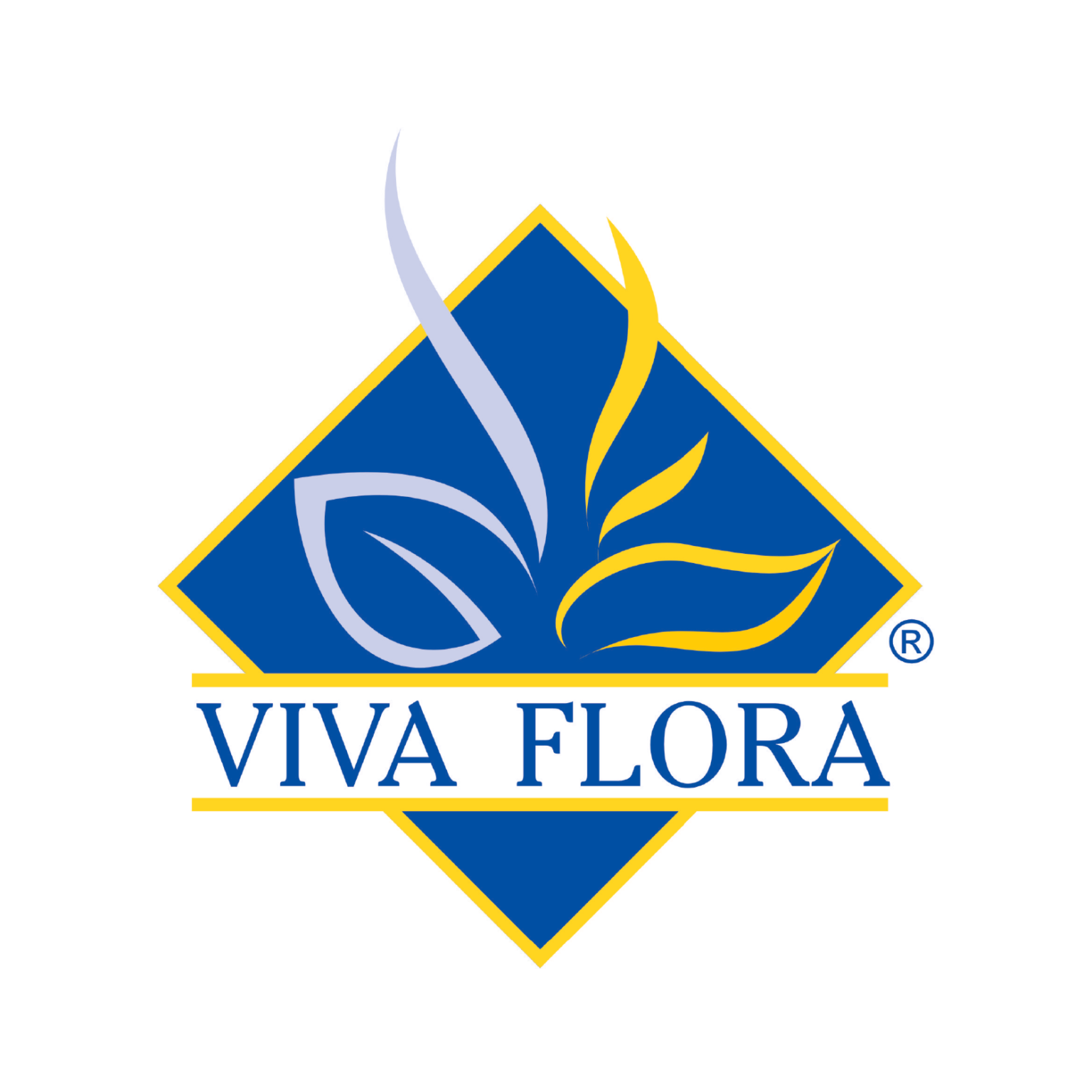 VIVA FLORA - 28º Veiling Market